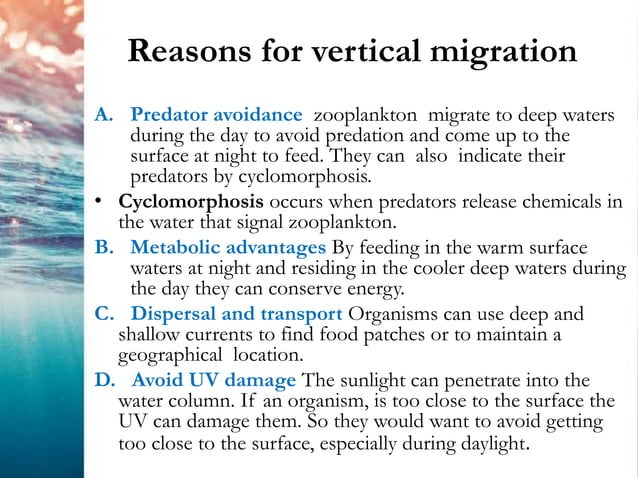 Diel vertical migration (DVM) | PPTX