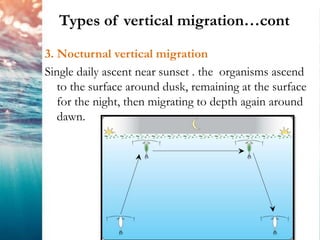 Diel vertical migration (DVM) | PPTX