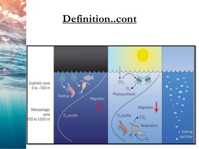 Diel vertical migration (DVM)