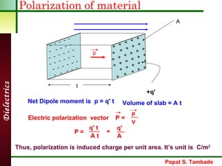 Dielectrics | PPS