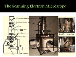 Dielectric surface imaging using scanning electron microsope | PPT
