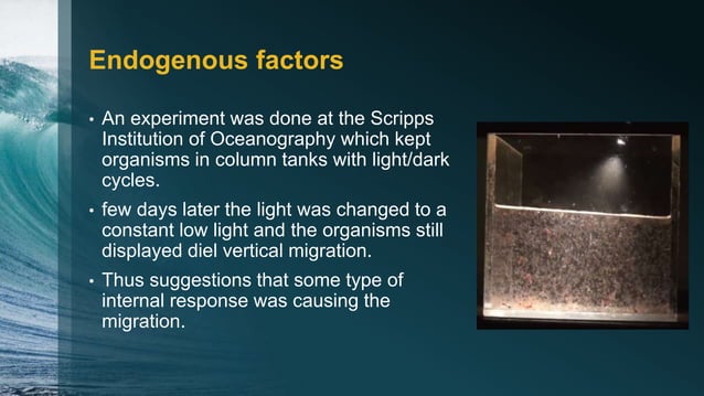Diel vertical migration | PPTX