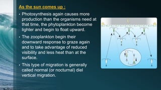 Diel vertical migration | PPTX