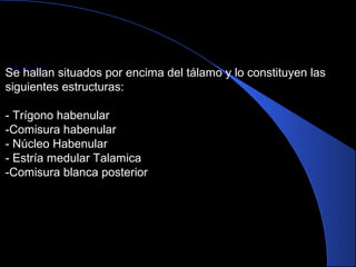 Diencefalo anatomia i | PPT