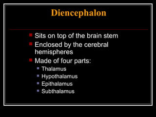 Diencephalon | PPT