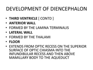 Diencephalon | PPTX
