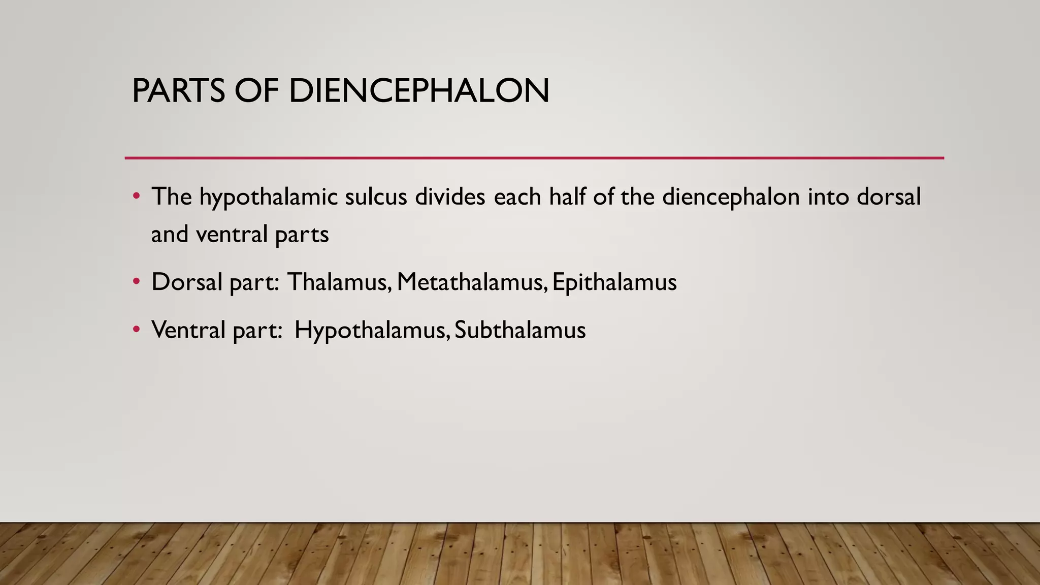 Anatomy Diencephalon | PDF