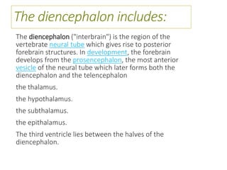 Diencephalon.ppt
