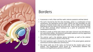 Diencephalon.pptx, structure and function | PPTX | Digital Audio ...