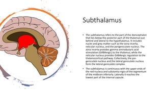 Diencephalon.pptx, structure and function | PPTX