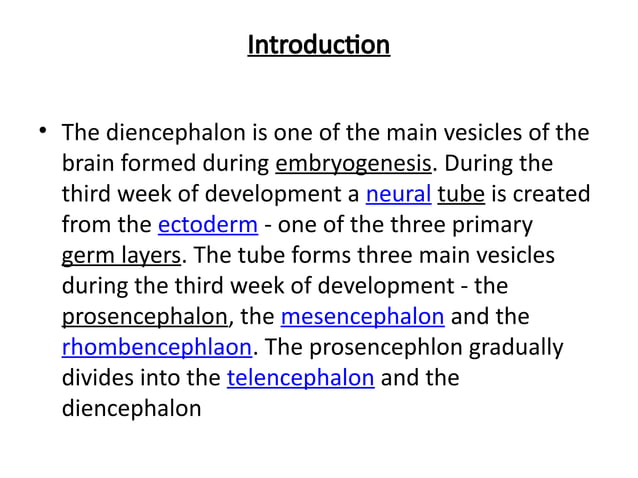 Diencephalon is the part of human brain and provide information to ...