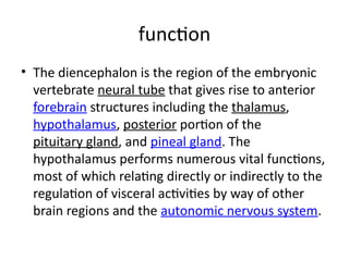 Diencephalon is the part of human brain and provide information to memory | PPT