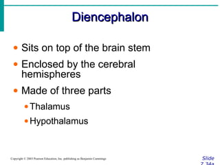 Diencephalon | PPT