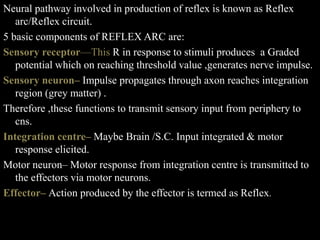 Diencephalon{hap ii} | PPTX