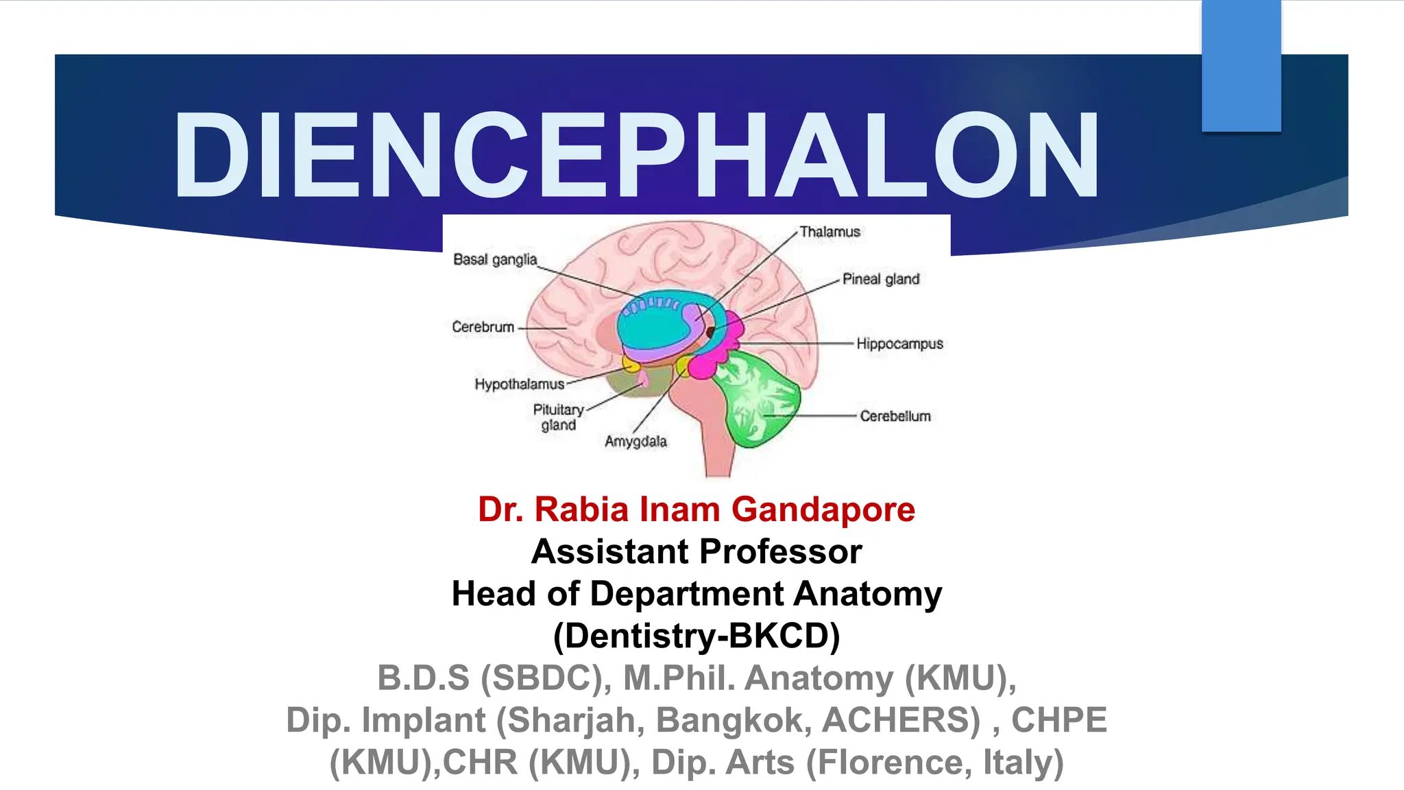 DIENCEPHALON, Thalamus & Hypothalamus.pptx