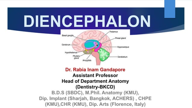 DIENCEPHALON, Thalamus & Hypothalamus.pptx