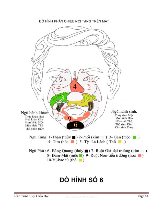 Dien chan hoc | PDF