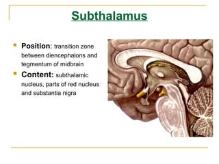 anatomy and function of diencephalon.ppt