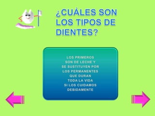 Dientes | PPTX