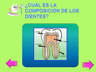 Dientes | PPTX