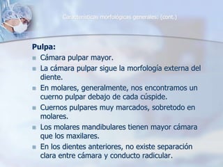 Dientes primarios | PPTX