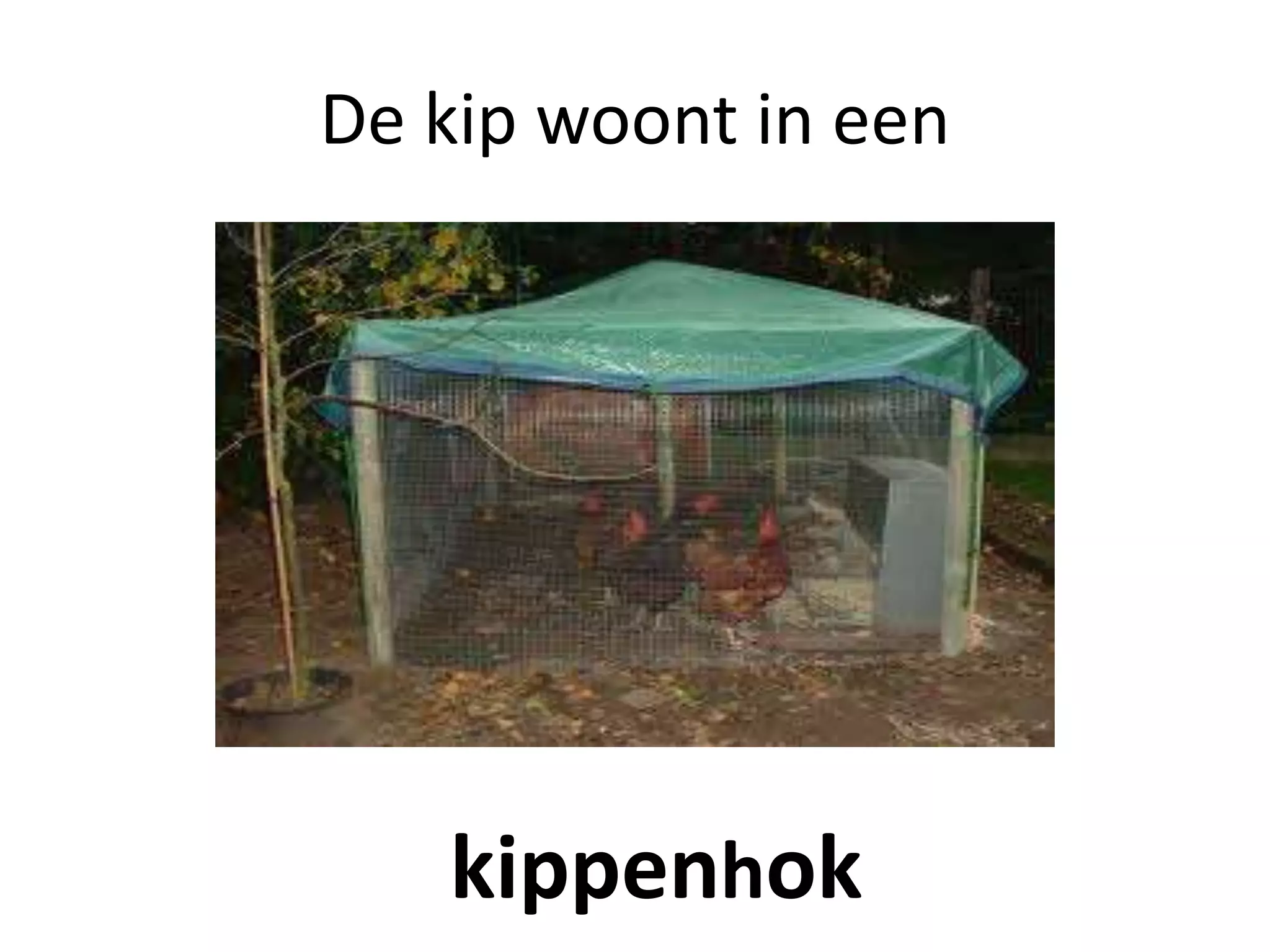 Dieren stijlmap | PPT