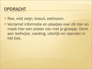Dieren in het bos | PPT