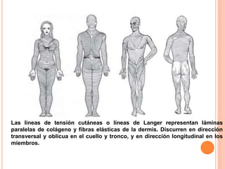 dieresis y sintesis de la pared abdominal DIANA.pptx