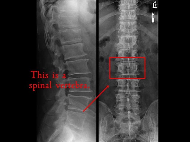 Grammar Boot Camp 1 : Map & Grammar | PPT