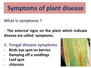 Diesese of plant symptoms and type | PPTX
