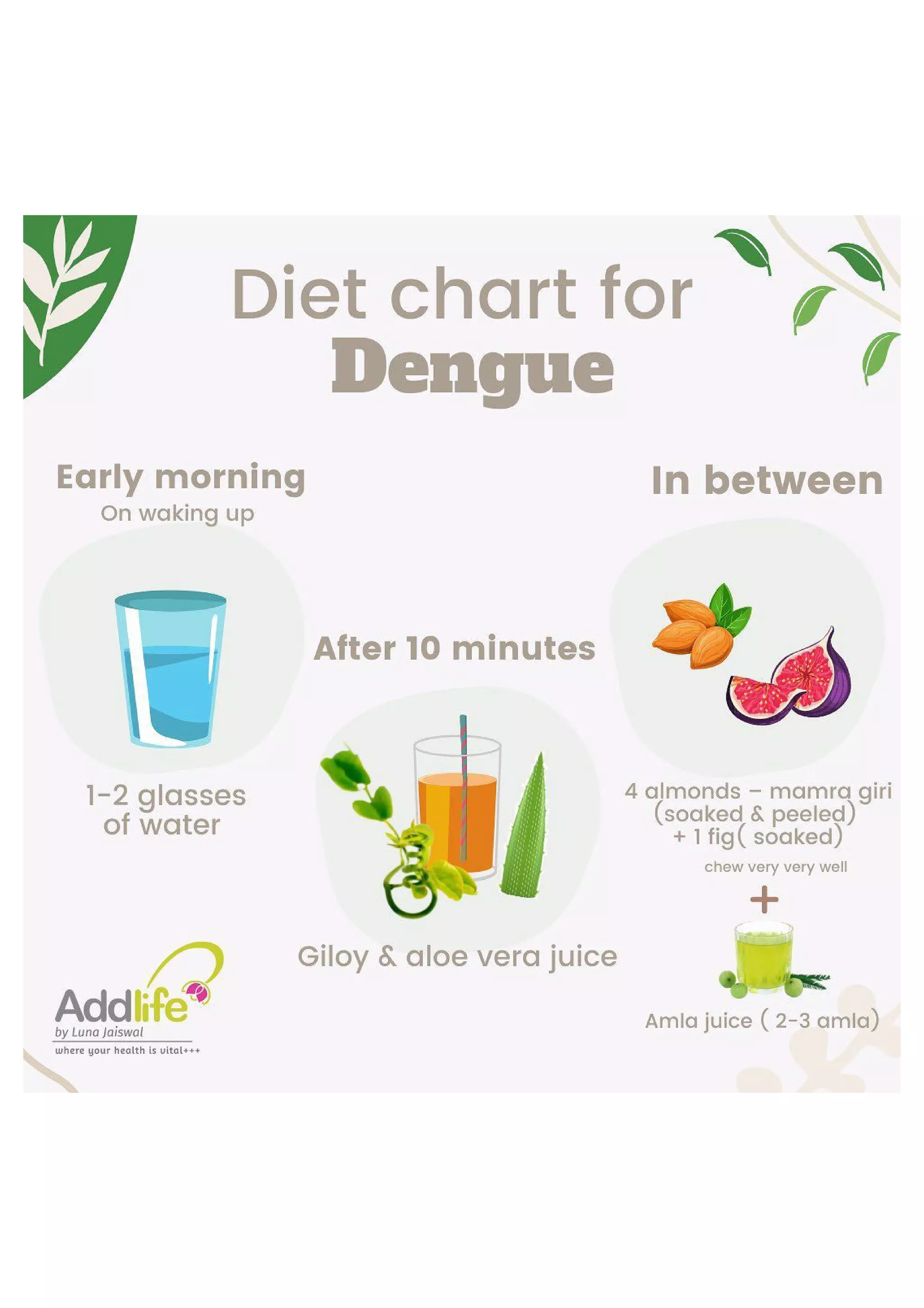 Diet Chart For Dengu - Dietician in India | PDF