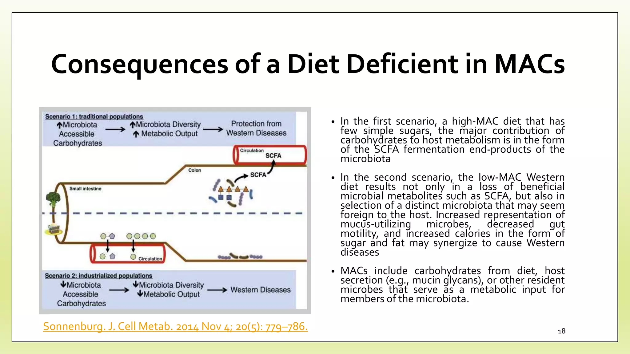 Diet microbiota interactions: the mediterranean diet as a key to a ...