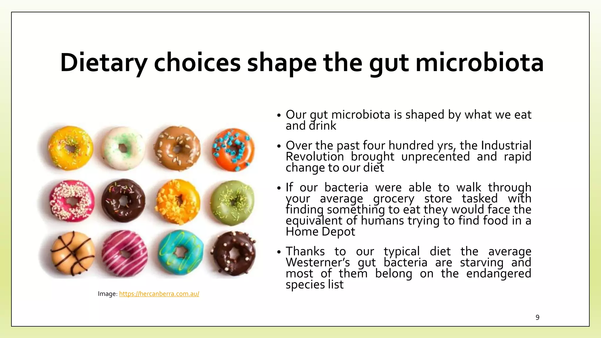 Diet microbiota interactions: the mediterranean diet as a key to a ...