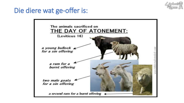 Die tabernakel deel 9 die dag van versoening | PPT