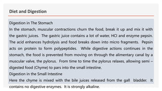 Diet and Digestion | PPT