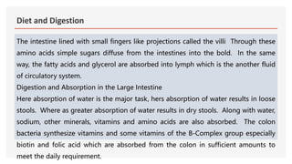 Diet and Digestion | PPT