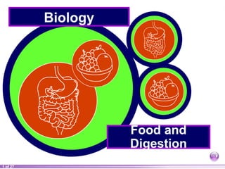 grade 8 - biology - Diet and Digestion.ppt