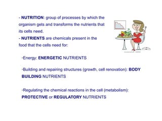 Diet and digestive system | PDF