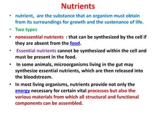 Diet and Nutrition.pptx