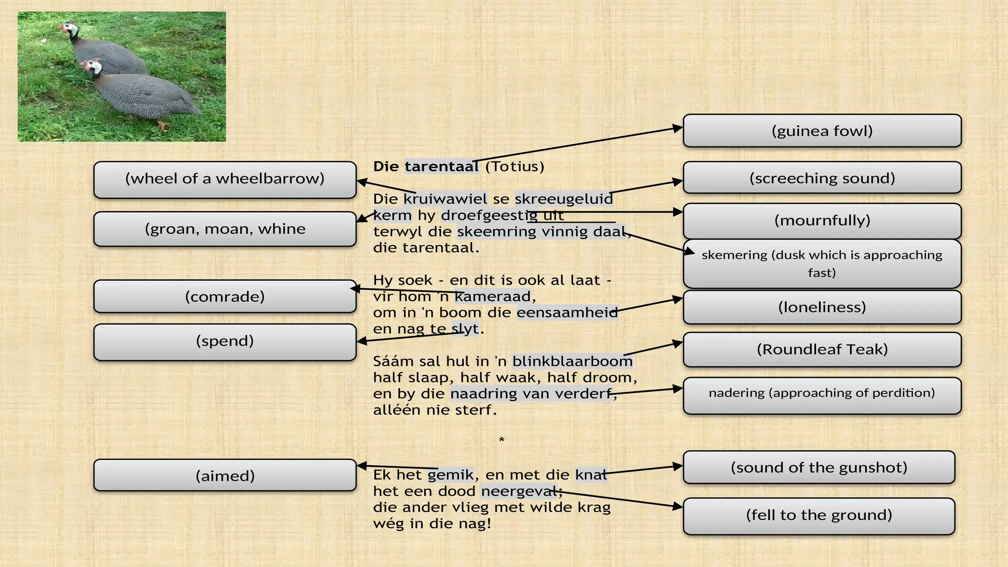 Die Tarentaal.pptx Volledige analise en bespreking | PPTX
