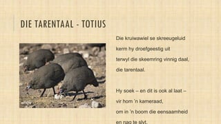 Die Tarentaal.pptx Volledige analise en bespreking | PPTX