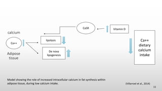 Dietary calcium and body fat mass | PPTX | Endocrine and Metabolic ...