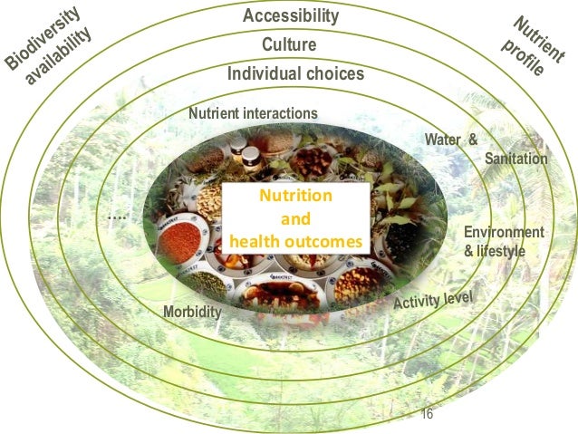 Dietary diversity through biodiversity in food systems