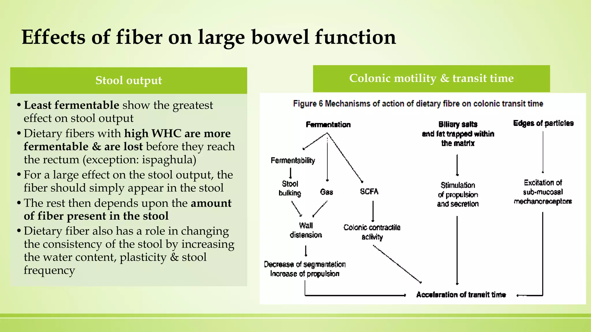 Dietary fiber | PPTX