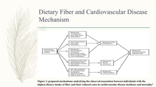 Dietary fiber and cardiovascular diseases | PPTX