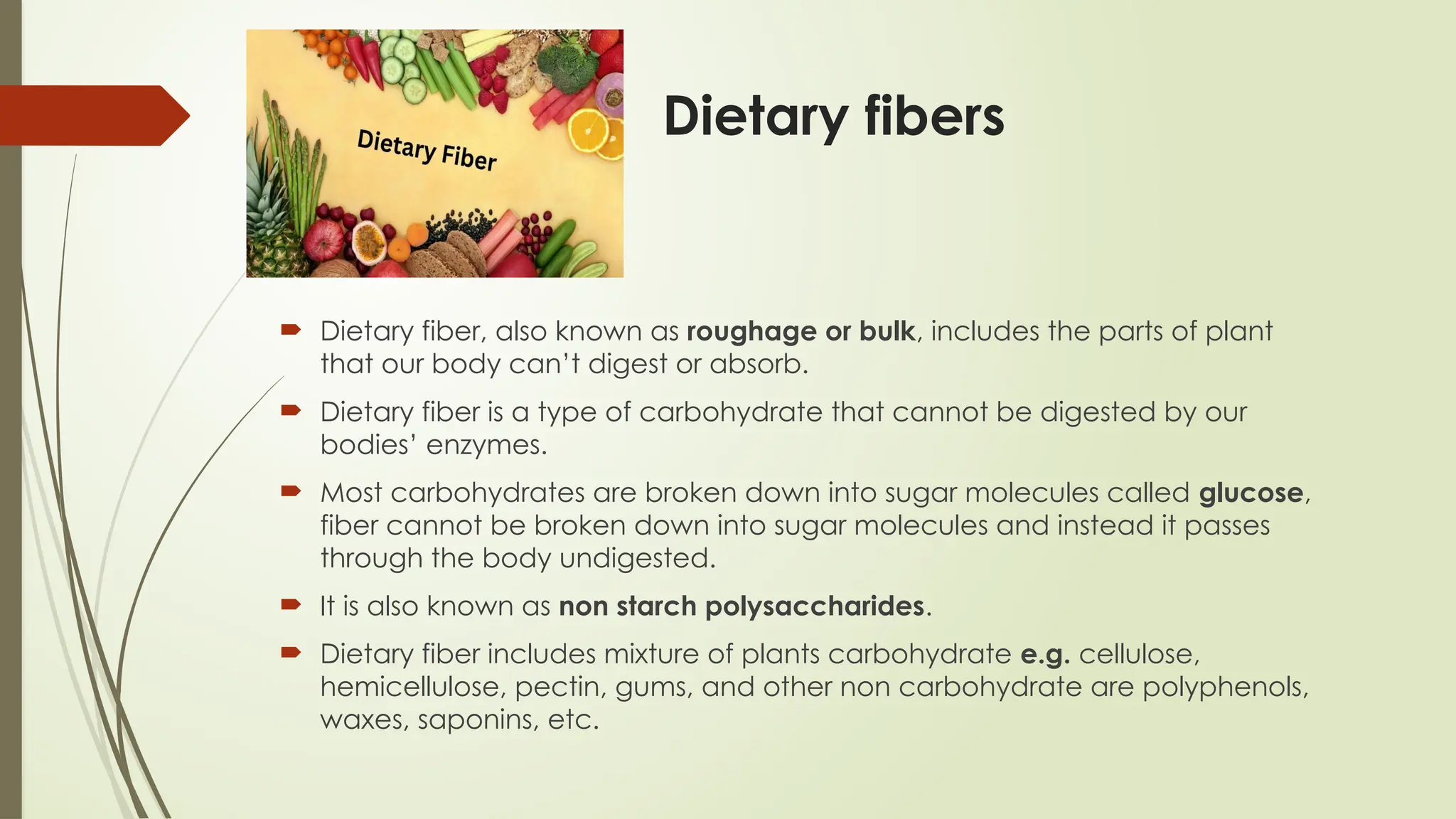 Nutraceuticals ,Dietary Fibers and its mechanism.pptx