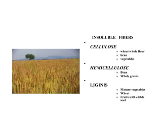 dietary fibre.ppt