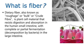 Dietary fibres | PPTX