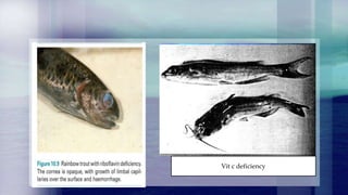 deficiency & imbalances due to dietary components in fish | PPTX