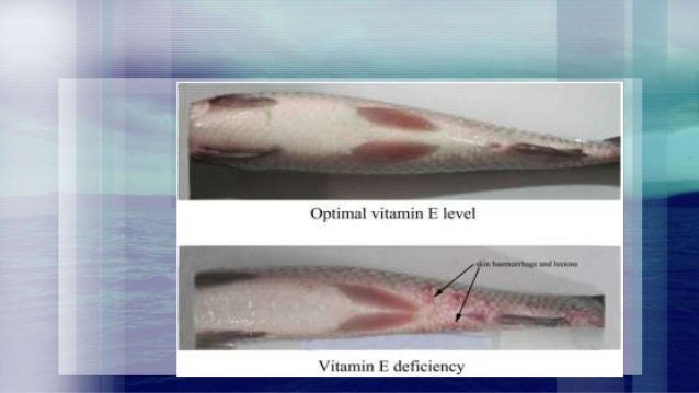 deficiency & imbalances due to dietary components in fish